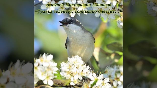 Травка зеленеет, солнышко блестит - Плещеев А. Н. #shorts