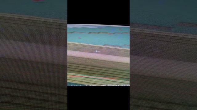 как построить канюшню 4