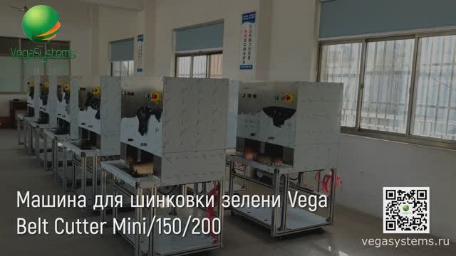 Нежная очистка кожи яблока/киви/апельсина/помидора Vega Apl Pel H1800