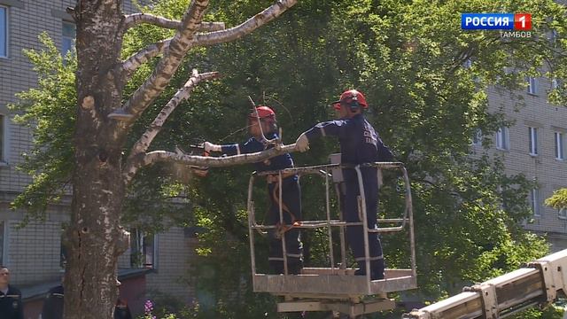 Дежурный по району: пр-д Н. Островского, 6