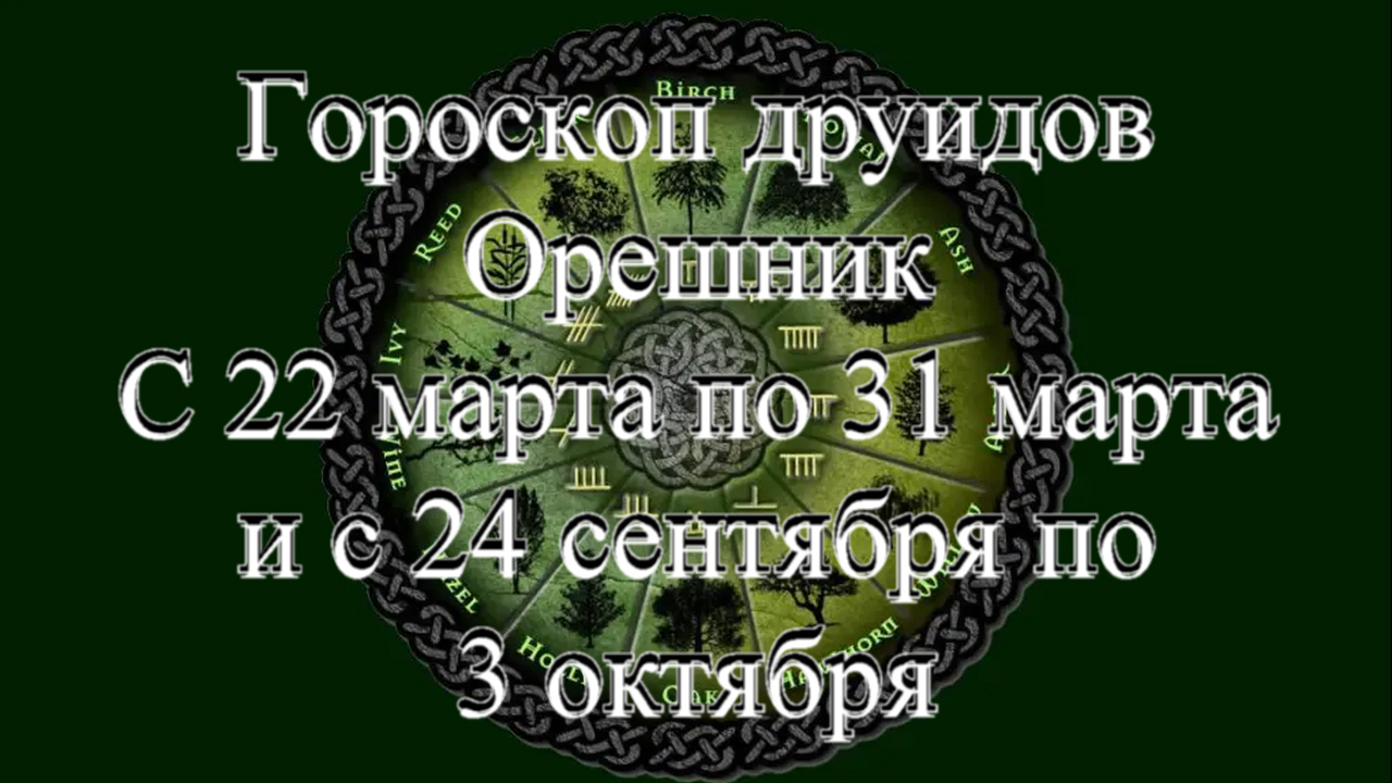 Гороскоп друидов. Орешник