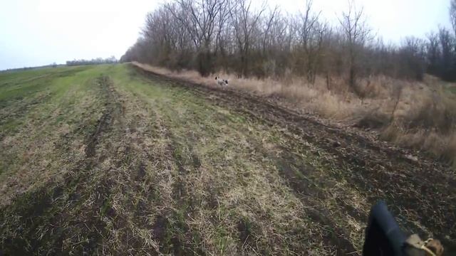 НА ЭТОТ РАЗ - ЗАЯЦ НЕ УШЁЛ.mp4