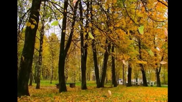 суксунская осень