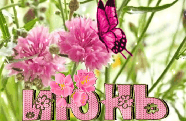 Лето, июнь! Отличного денёчка!