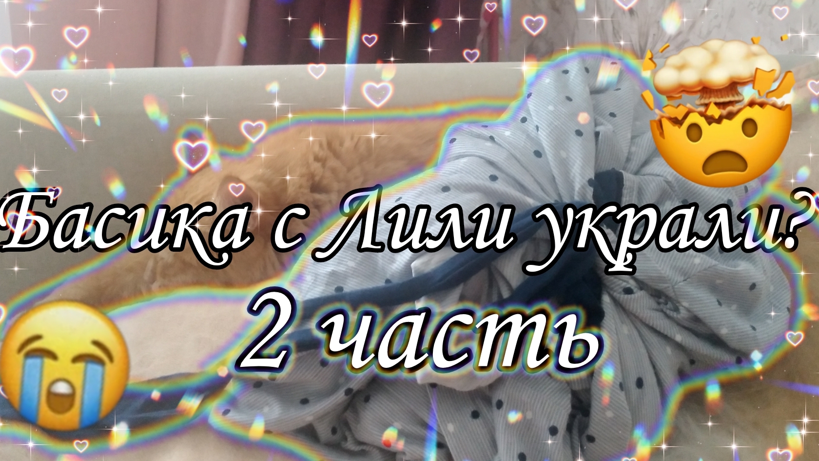 Басика и Лили украли?!😱[2 часть]