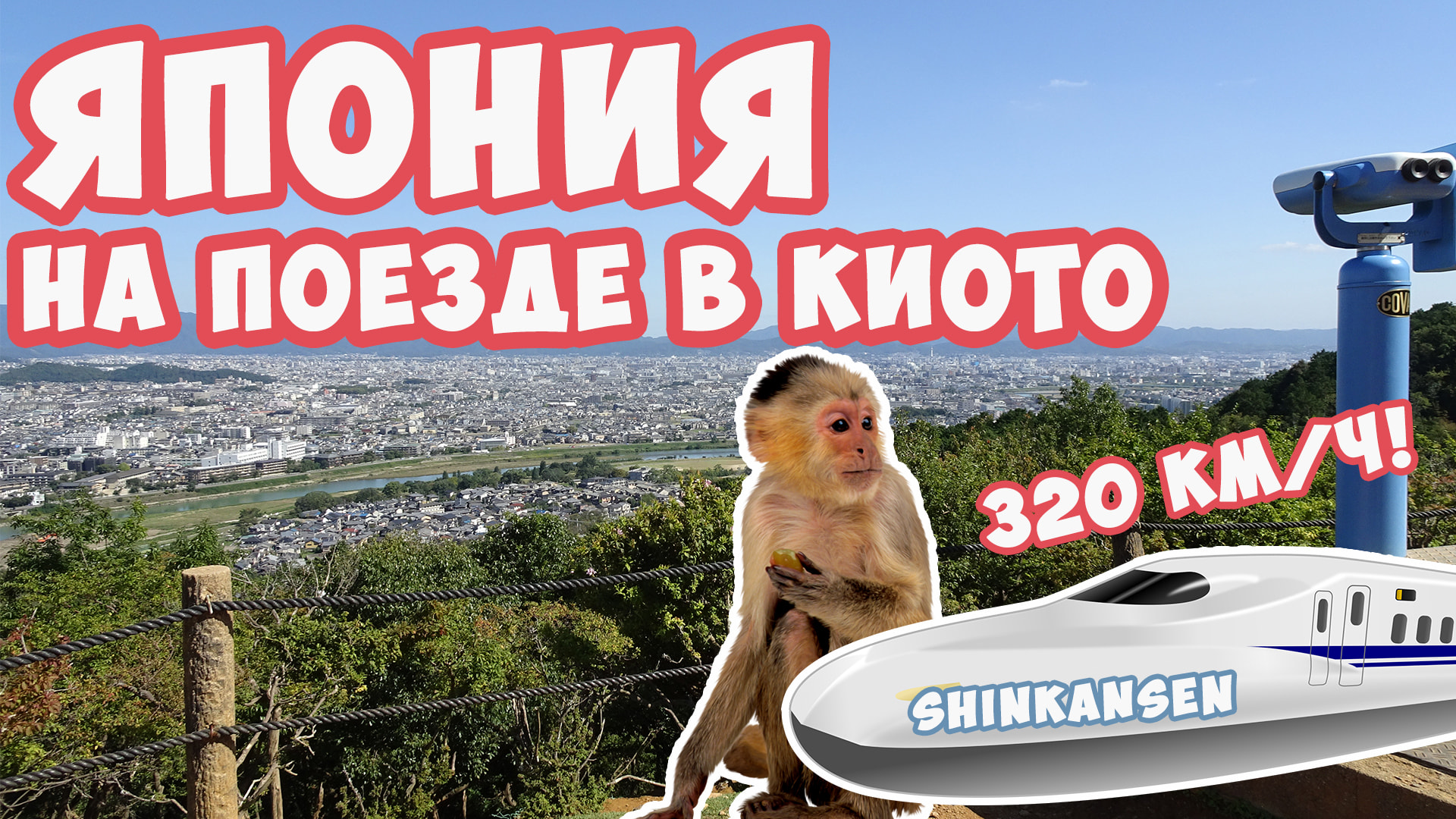 Киото: приехал на Синкансене. Бамбуковая роща Сагано и парк обезьян Иватаяма | Михаил Зейфман