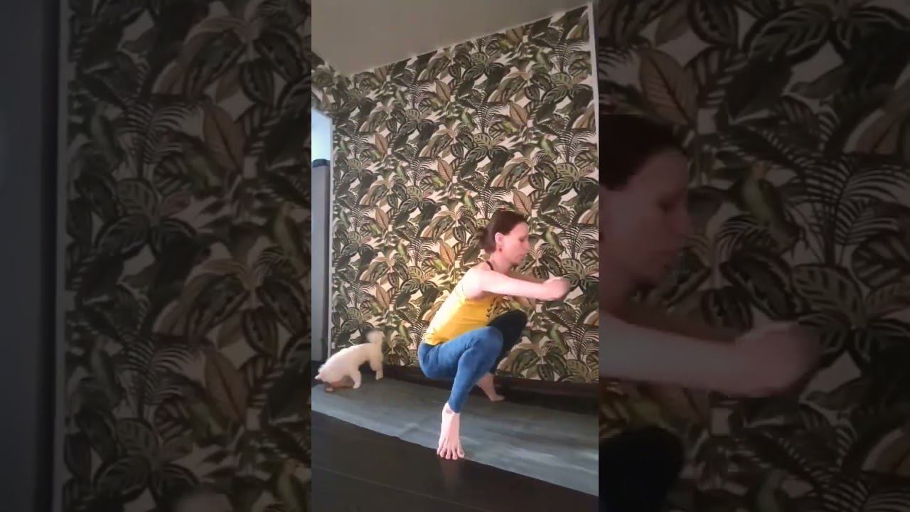 Йога – это 99 процентов практики и один процент теории.