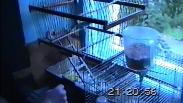 ЕВГЕНИЙ 25.07.1996.mp4