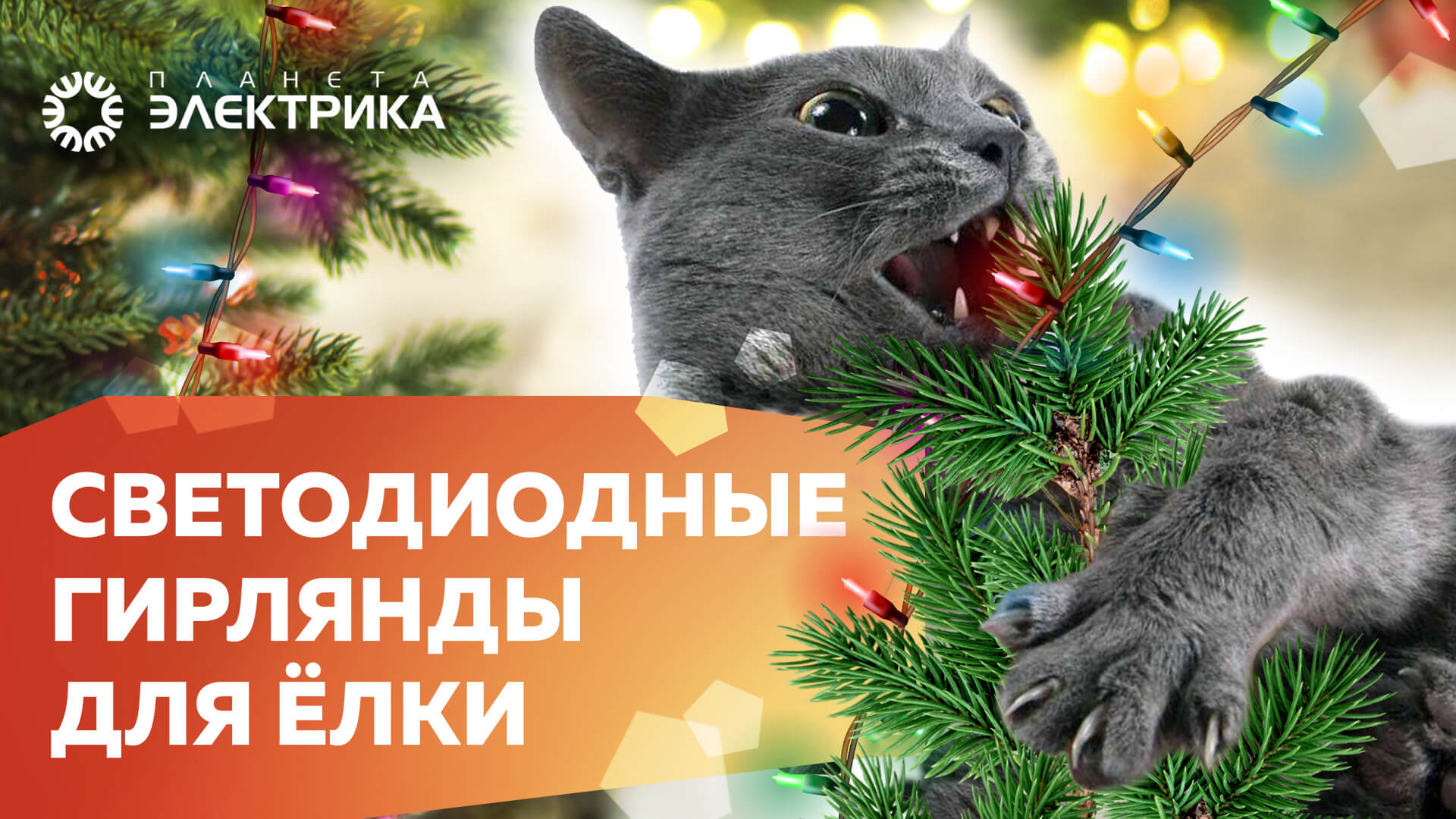 Обзор| Светодиодные гирлянды для Новогодней Елки!