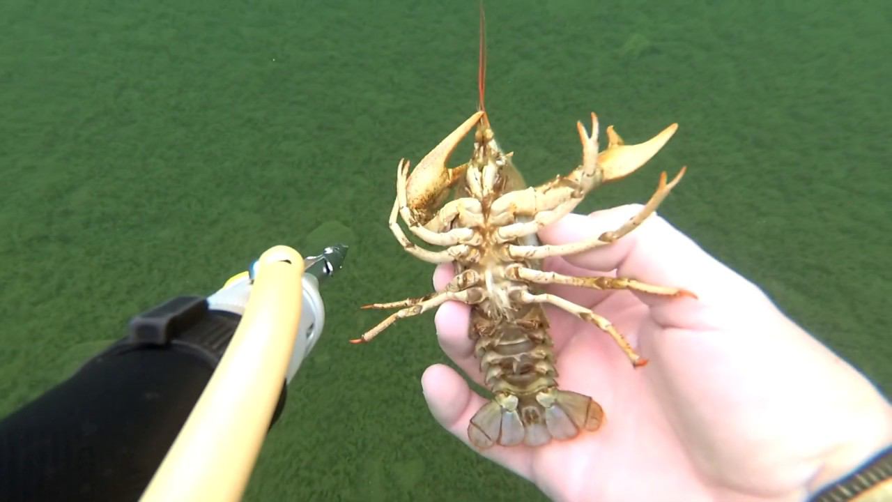 Озеро Якты-Куль/подводная охота/сеть/раки