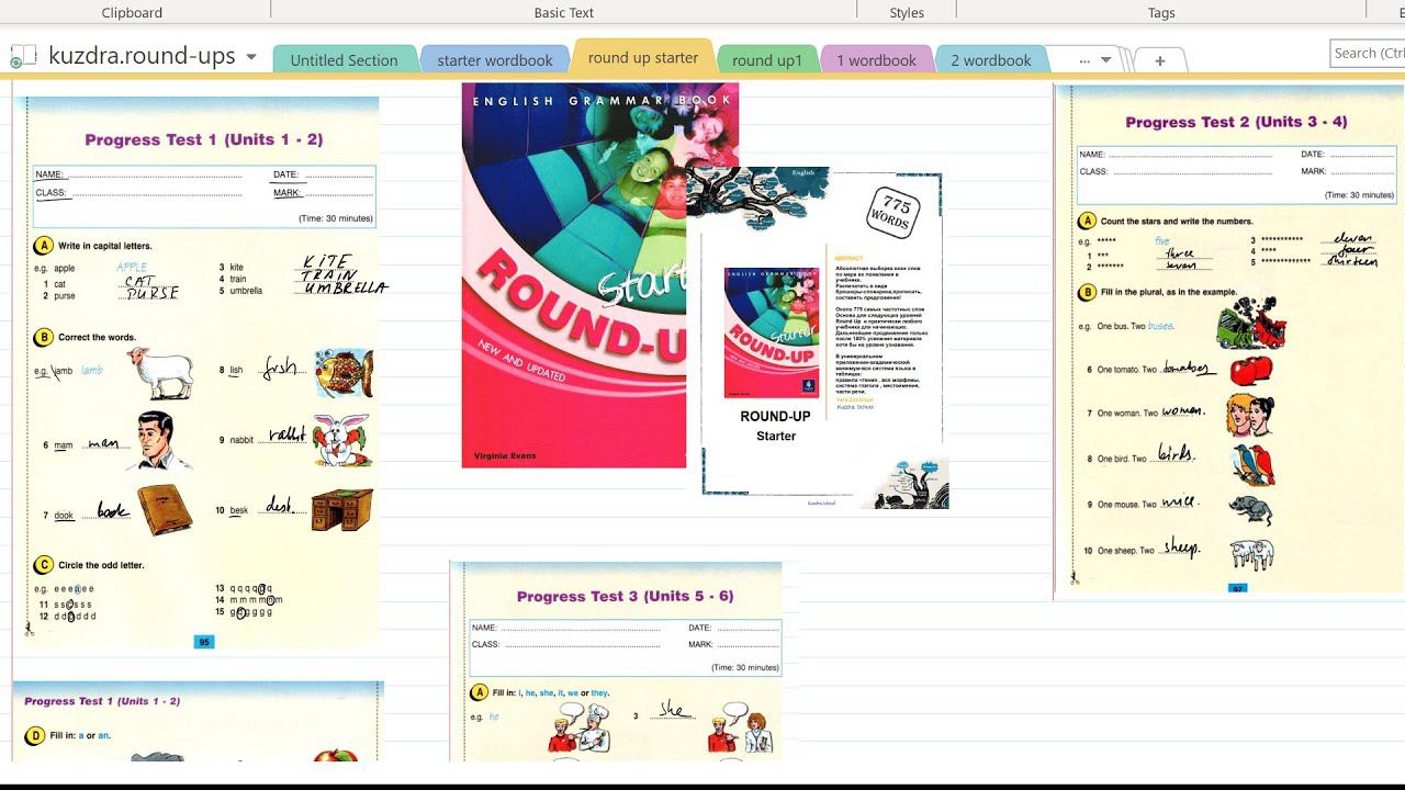 48. Round Up. Starter . Progress Tests