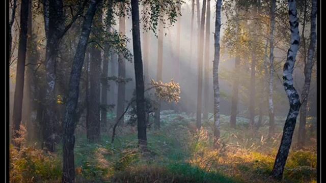 Kai Rosenkranz  - Vista Point