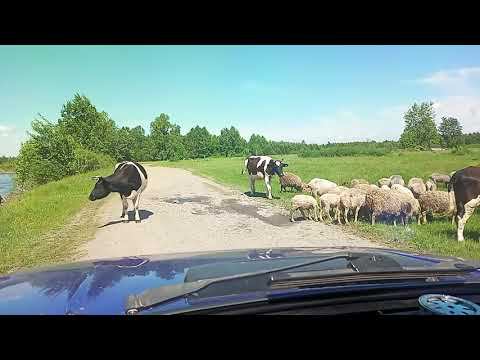 Первый выезд и ночёвка в жилом модуле.