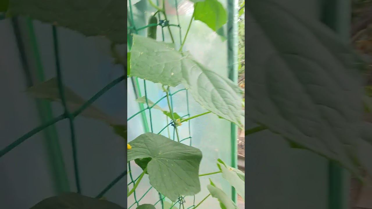 так бы всегда...