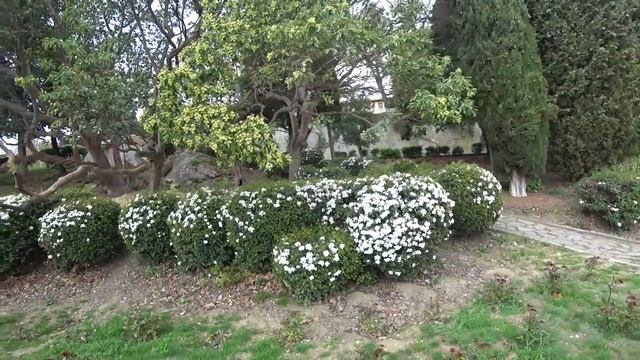 Крымская Одиссея | Часть 14 | Ливадийский дворец | Ялтинские Лабиринты | Автопутешествие | 2021