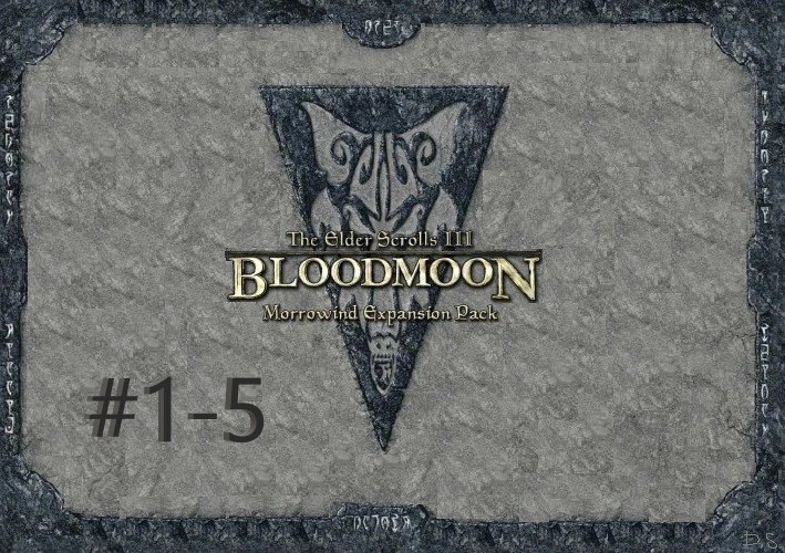 TESIII Bloodmoon #1-5 Отвергнутая женщина.mp4