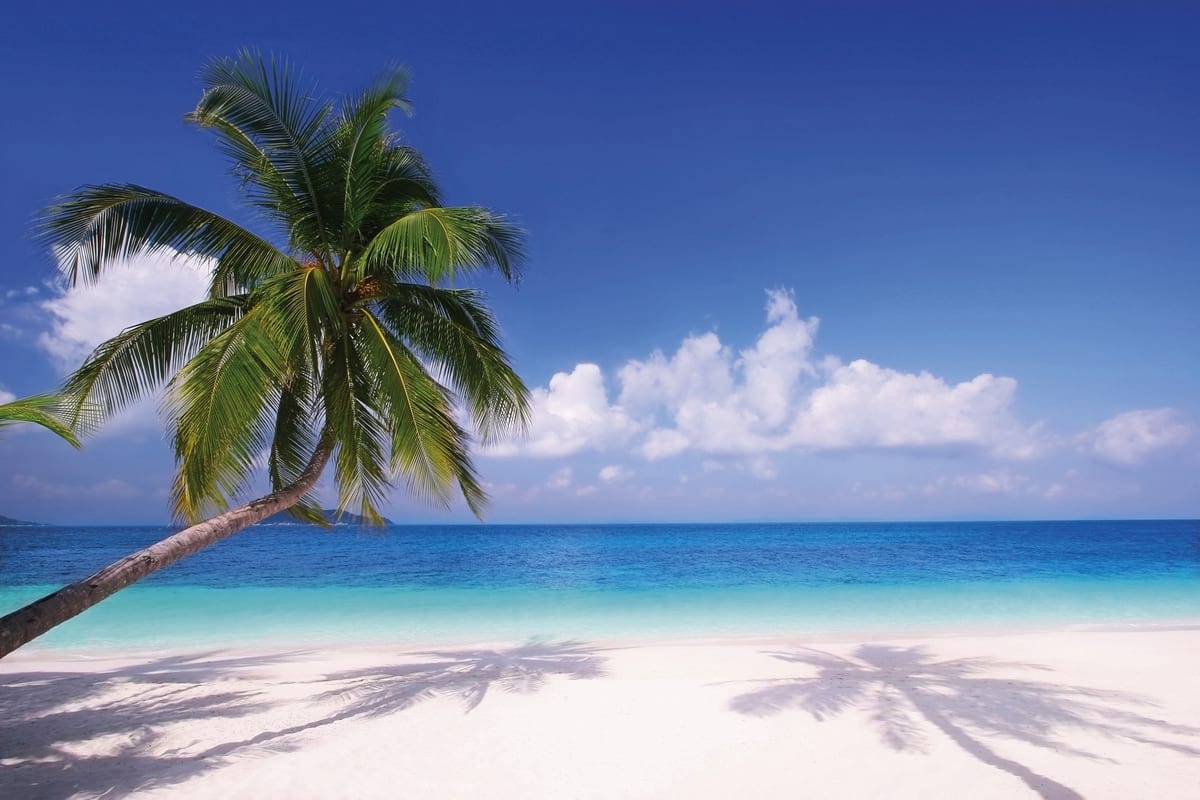 Успокаивающая музыка для нервов - целебная музыка для сердца и кровеносных сосудов, расслабление