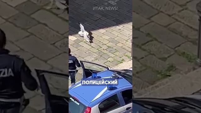 Полицейский разогнал драчунов ? | Итак, новости!