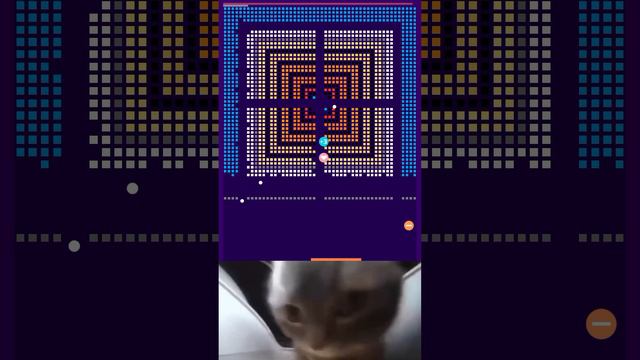 chipi chipi chapa chapa #shorts #кот #chipichipi #коты #милые #музыка #игра