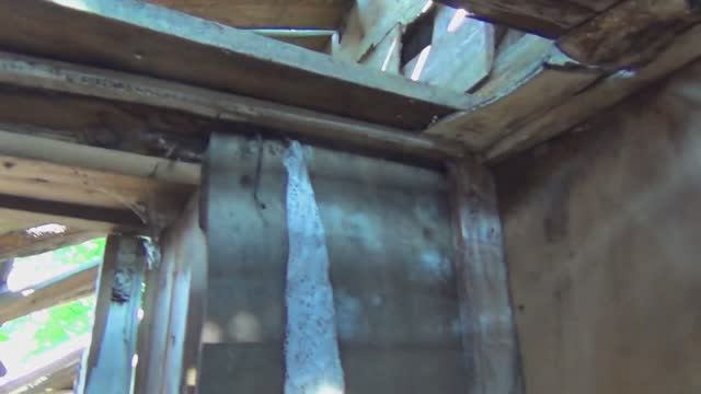 Поездка в заброшенный сад в Крестниково. Обзор СНТ Крестниково.