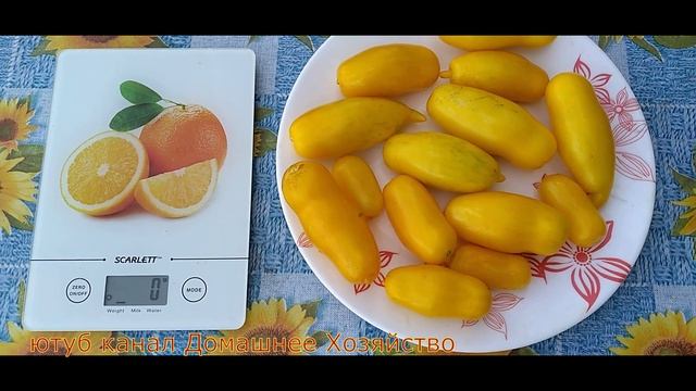 Обзор томата Банановые ноги