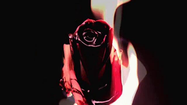 Ангел-хранитель_New.avi