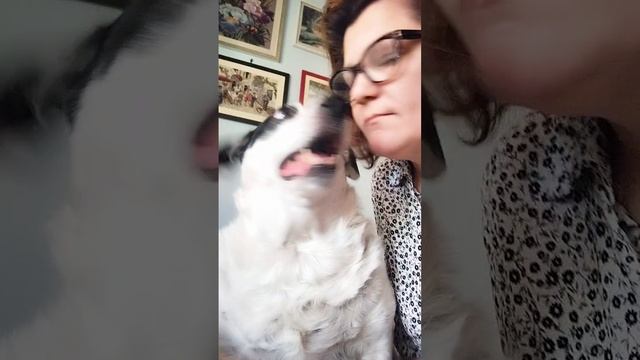 Бри́чола, крошка на итальянском. Ей уже 10 лет.