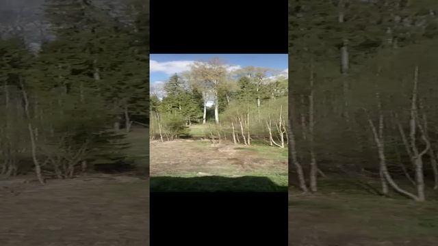 вид по пути следования по Бологое-Полоцкой железной дороги из Бологого