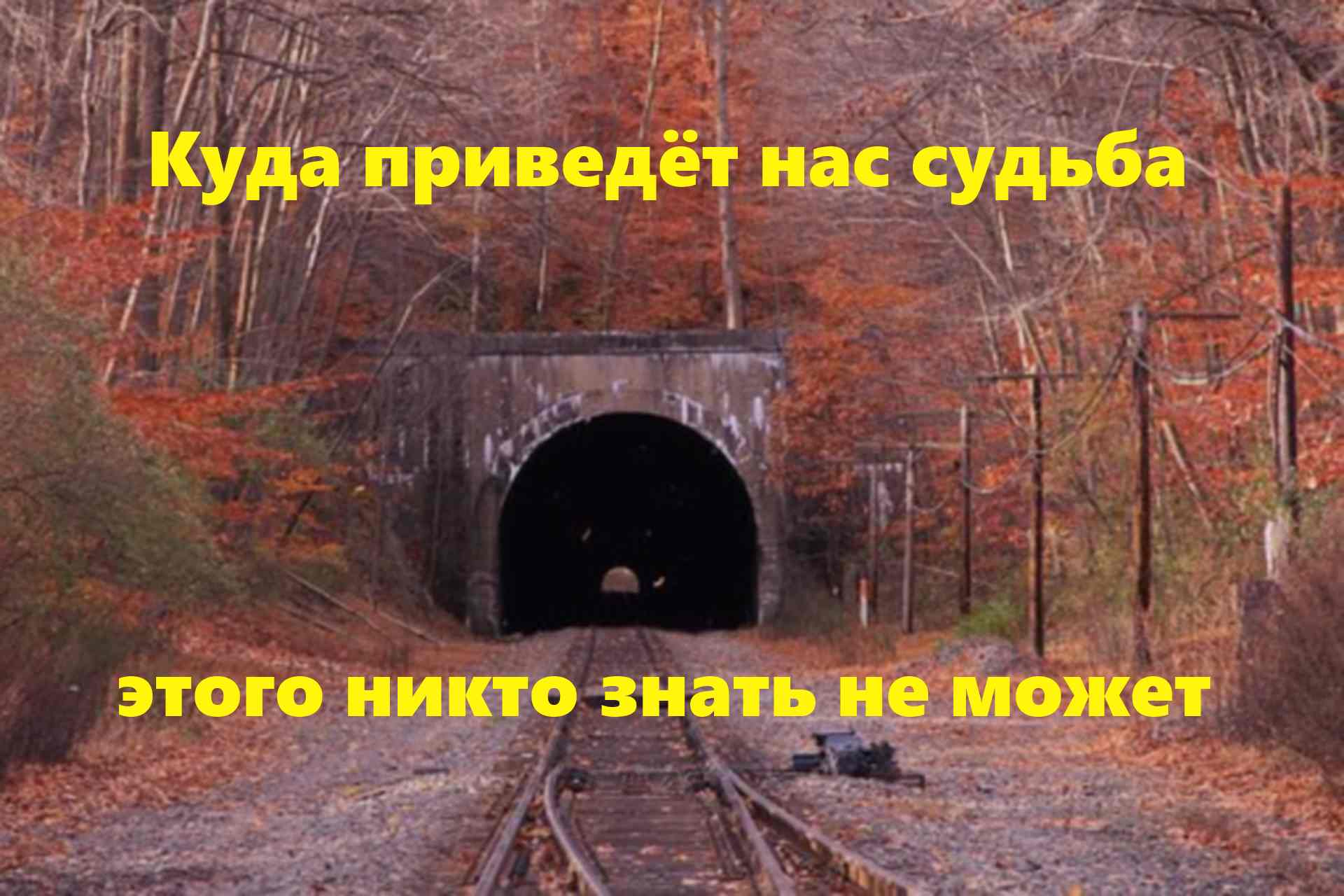 Судьба учителя и его ученика. Интересные истории из жизни людей.