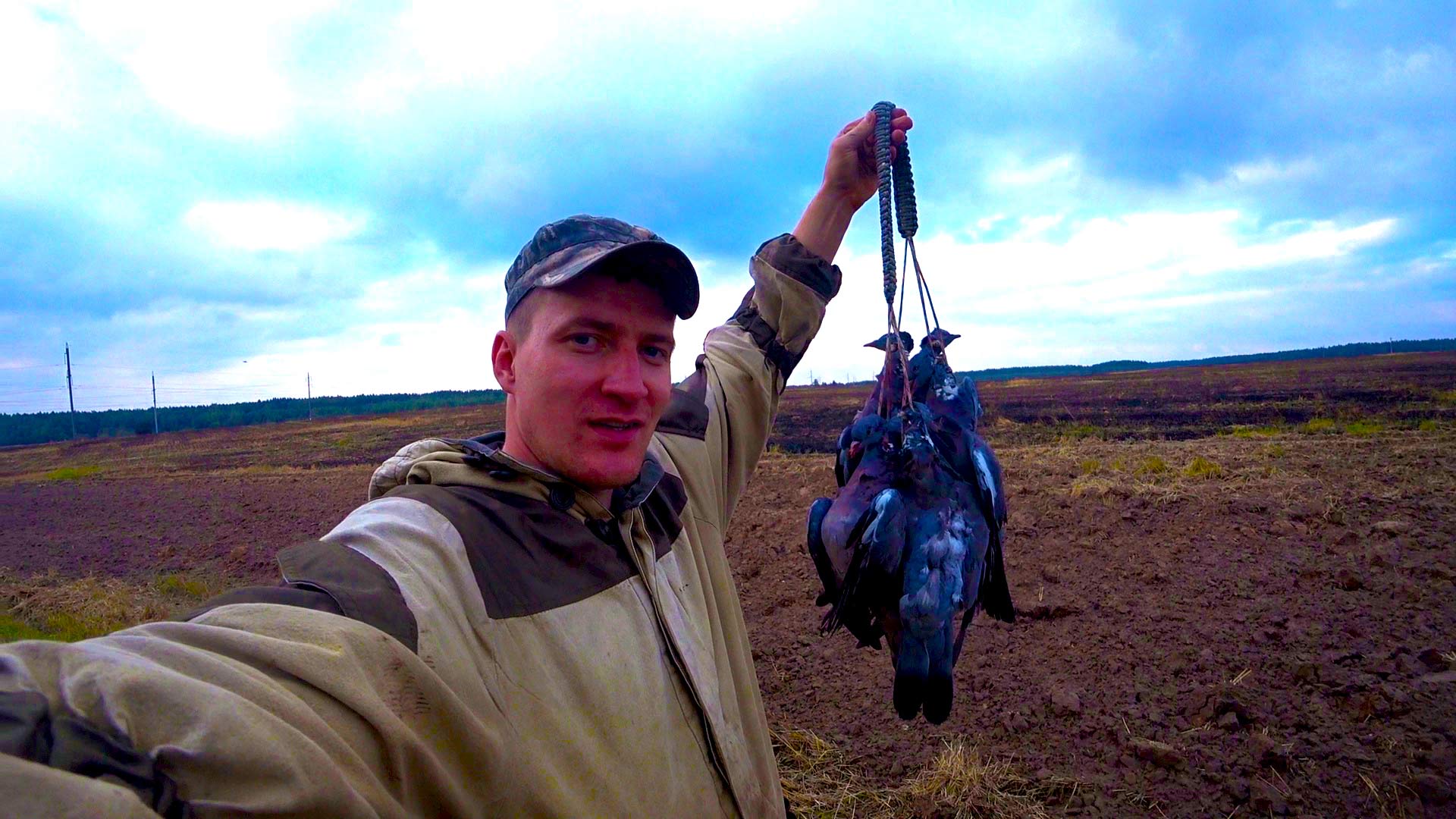 ОХОТА НА ВЯХИРЯ НА СОЖЖЕННОМ ПОЛЕ. ИХ ЗДЕСЬ ТУЧИ