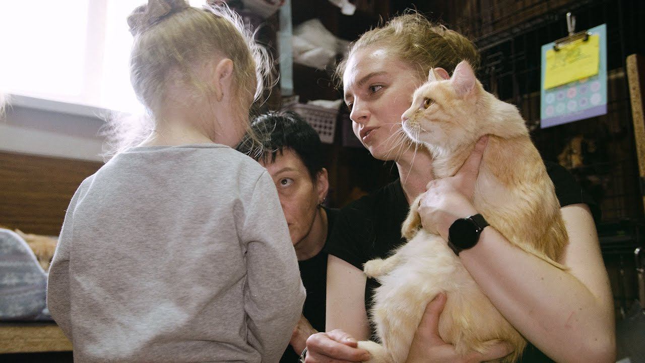 Котофеево|Добрые дела на краю света|Серия 4