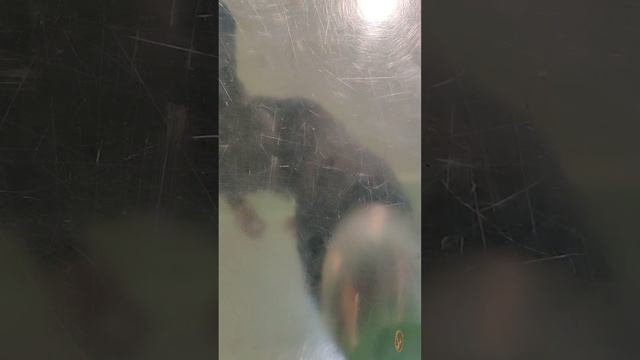 уроки степ танца в театре - школе танца GOLDEN TAP DANCE THEATRE