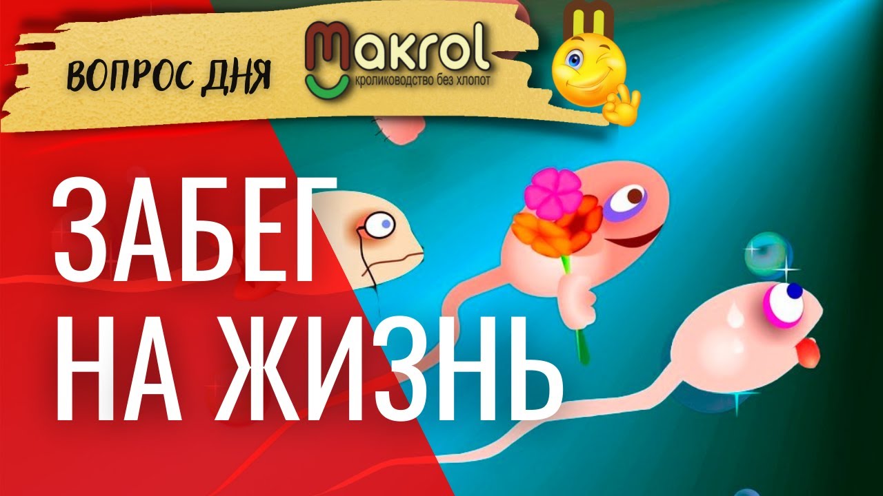 ✝У крола мертвые сперматозоиды. Что делать. Спонсорские подписки из дальнего зарубежья