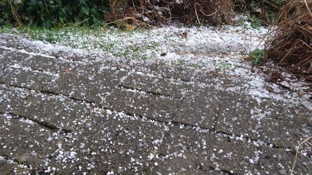 Град в саду, 13 апр. 2021. Орхус, Дания