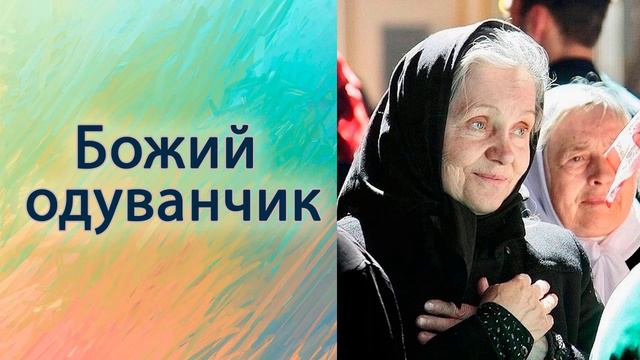 Божий одуванчик
