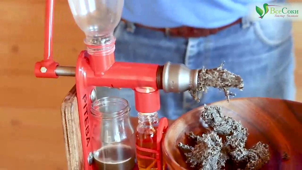 Домашний маслопресс Piteba. Давим масло из орехов и семян