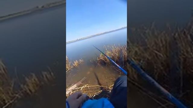 6 часть.Рыбалка на дым тамакском карьере.Начались поклёвки.