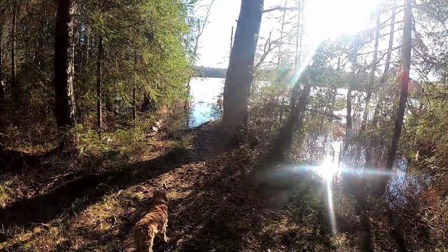 Путешествие на лесной озёрок на самой проходимой в мире технике