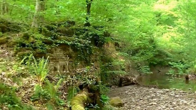 24_04_2016_ПРОГУЛКА ПО р АГУРА_ХОСТИНСКИЙ р_н_ СОЧИ.mp4