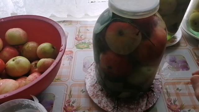 №154 Яблоки моченые на зиму с листьями смородины и вишни._ Заготовка яблок на зиму.
