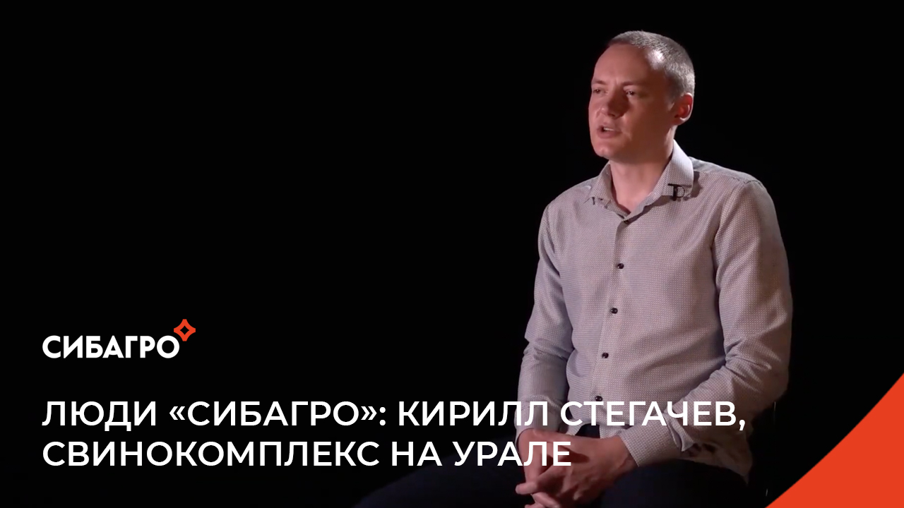 Люди "Сибагро": Кирилл Стегачев, свинокомплекс на Урале