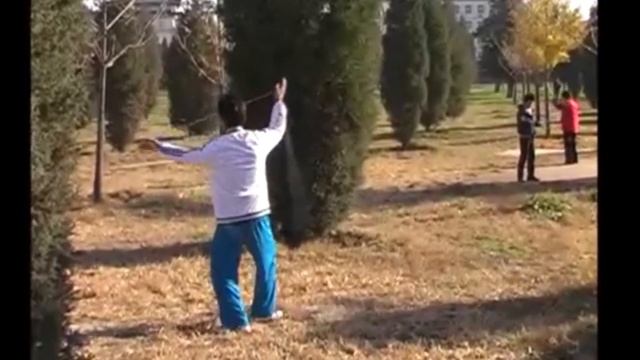 китайская Большая поющая юла 2