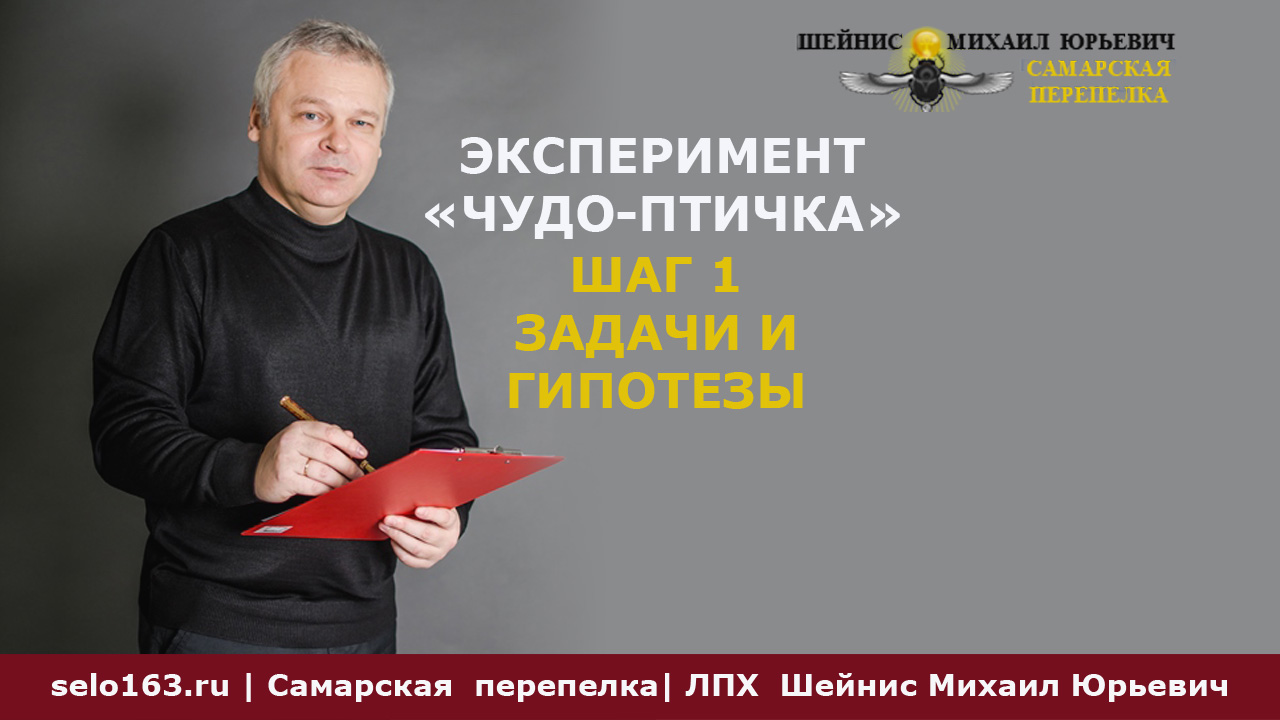 Шаг1 эксперимента ЧУДО-ПТИЧКА. Задачи и гипотезы