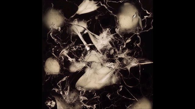 Gamma Intel - Panthera Leo