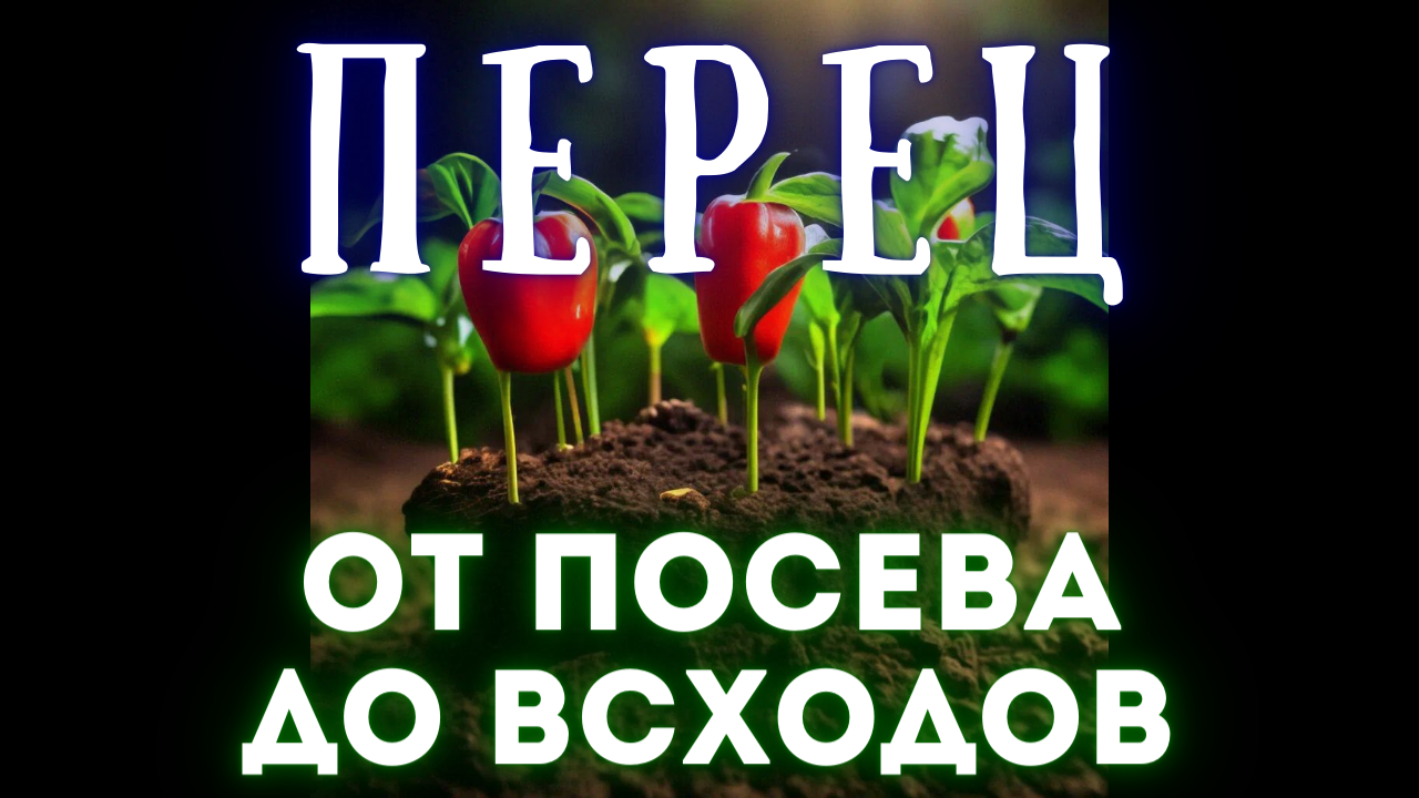 Не взошли перцы или погибла рассада? Урожай ещё можно получить!