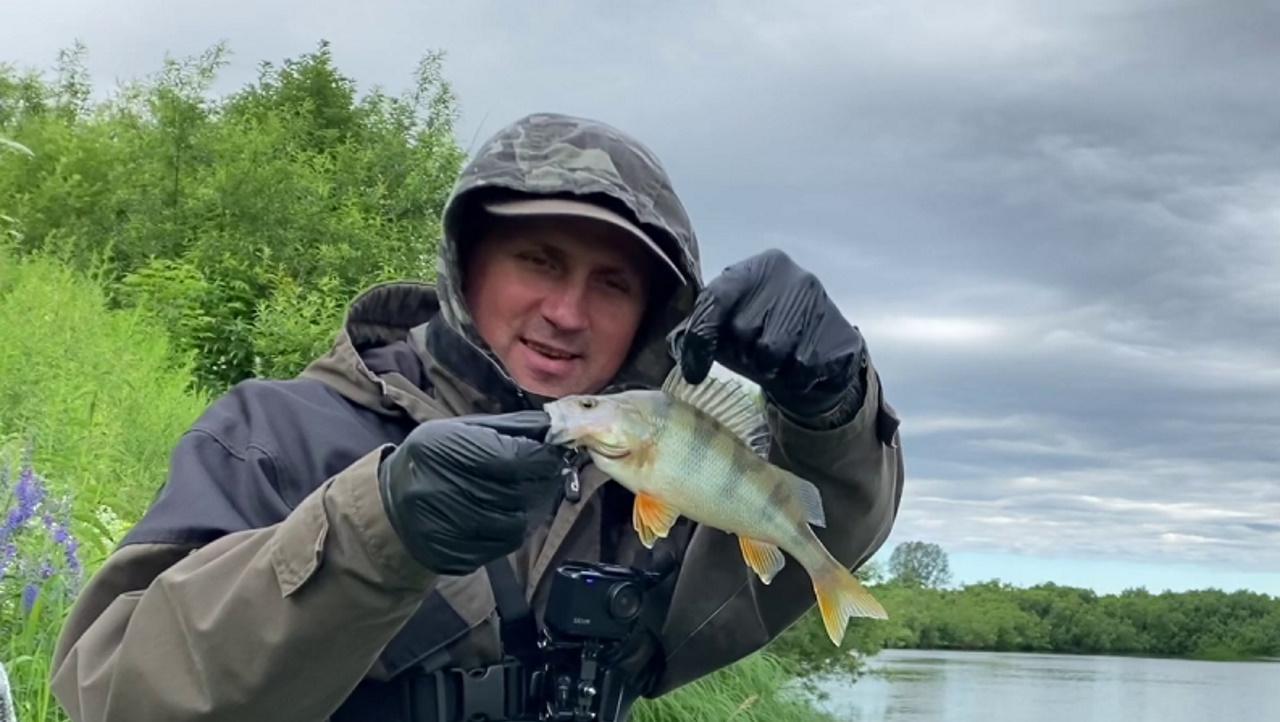 ОКУНЬ НА ФИДЕР.mp4