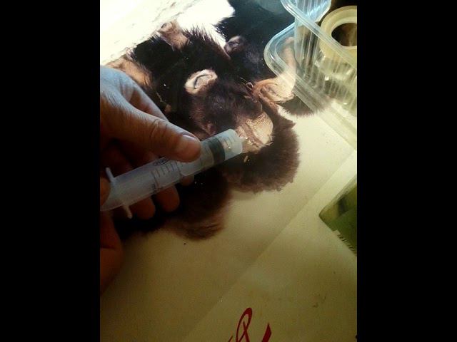 Ой, беда. Разбился градусник, собираем ртуть.