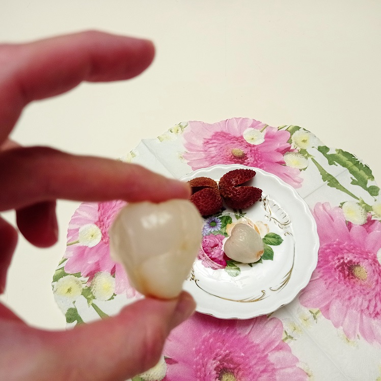 ЛИЧИ ИЗ КОСТОЧКИ ЛЕГКО!#личи#личиизкосточки#личивыращивание#китайскаяслива#личивдомашних#экзотыдома#