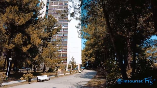 КУРОРТ ПИЦУНДА ПАНСИОНАТ