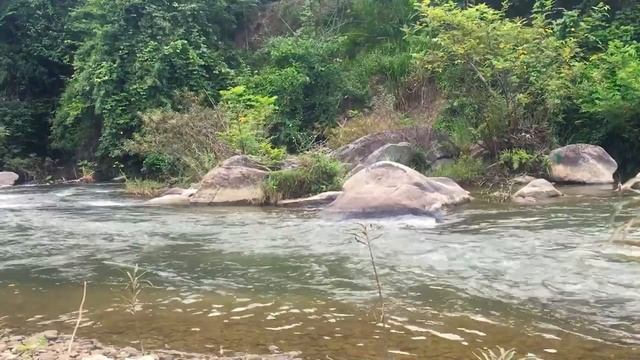 ЗВУКИ ДЛЯ СНА | ЗВУКИ ЛЕСНОГО РУЧЬЯ